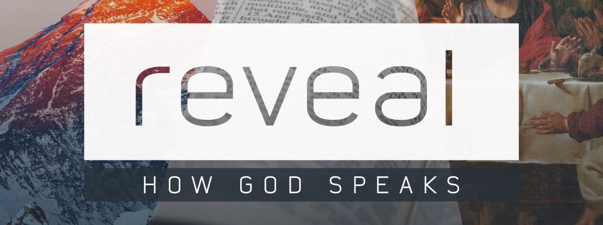 Reveal_Media Player Feature_444x255