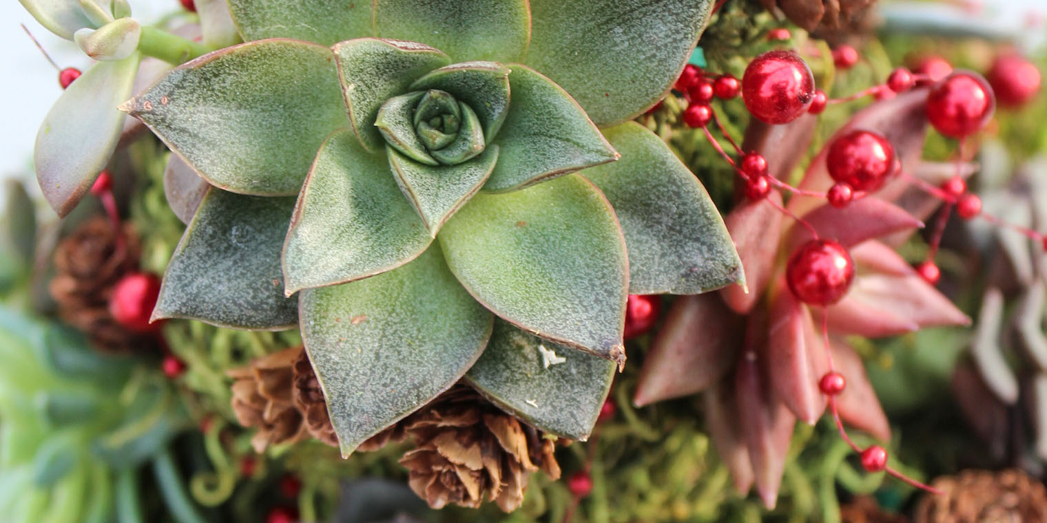 Women - Ada Bible Church